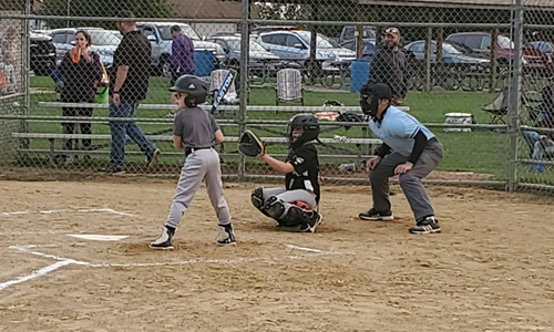 Wadsworth Youth Baseball > Home