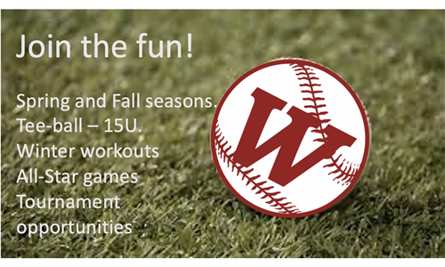 Wadsworth Youth Baseball > Home