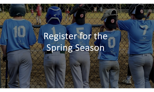 Wadsworth Youth Baseball > Home